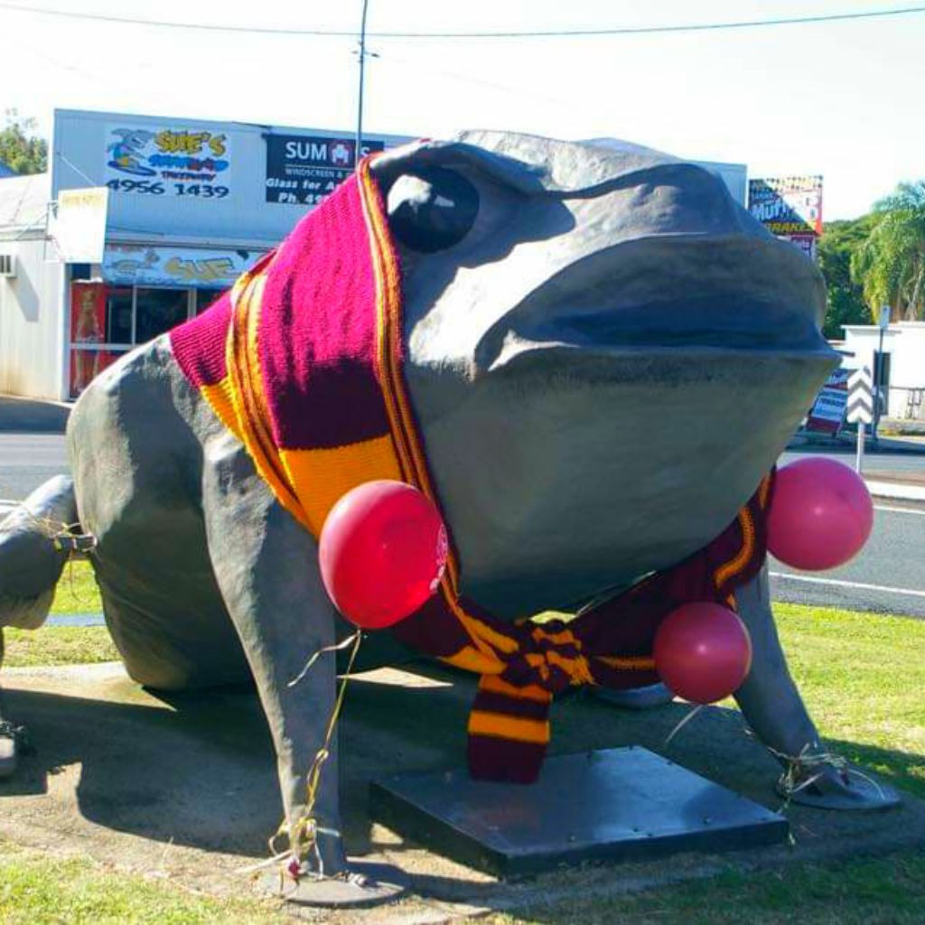Buffy the Big Cane Toad, Sarina, QLD - Land of the Bigs