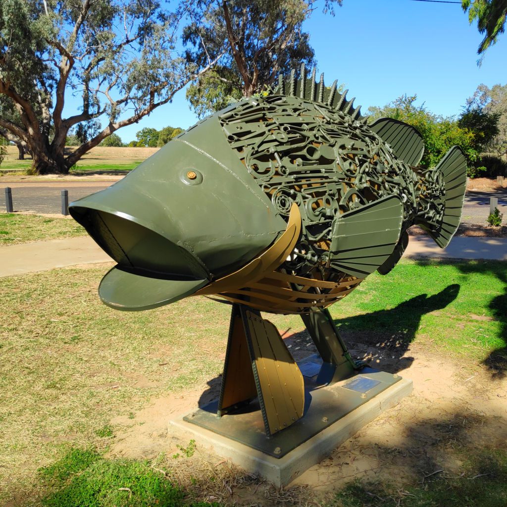 Murray the Cod, St George, QLD - Land of the Bigs