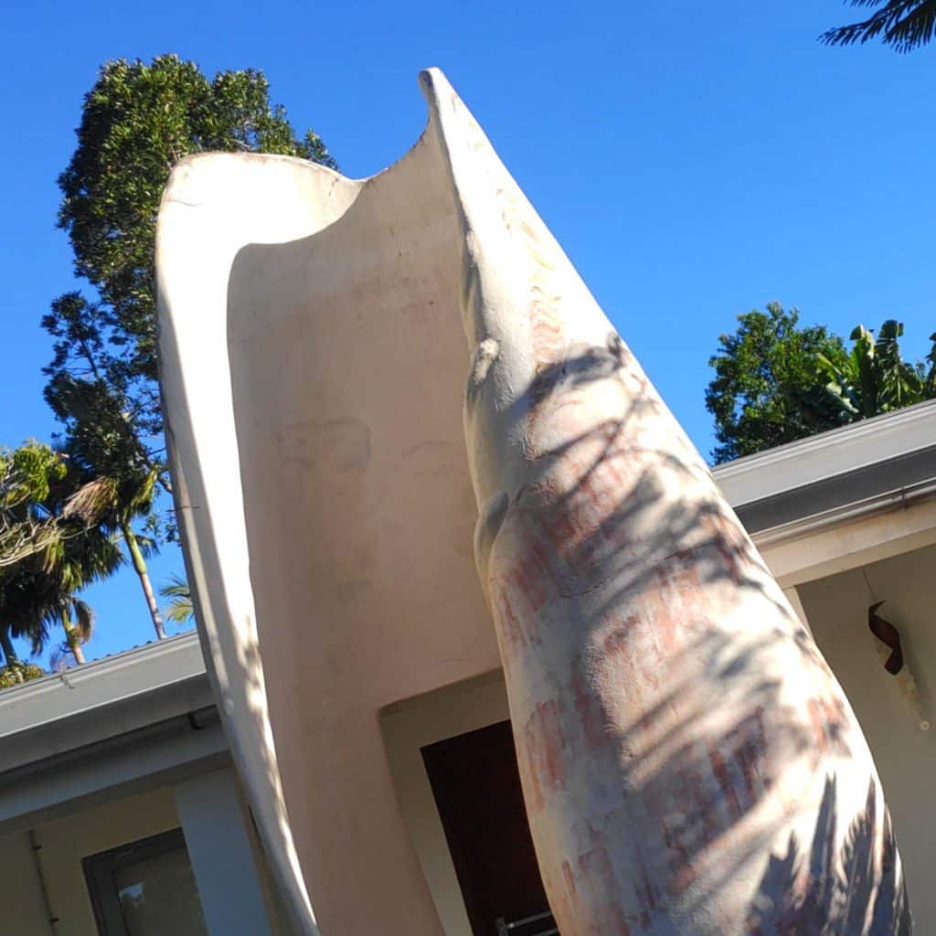 The Big Shell, Tewantin, QLD - Land of the Bigs