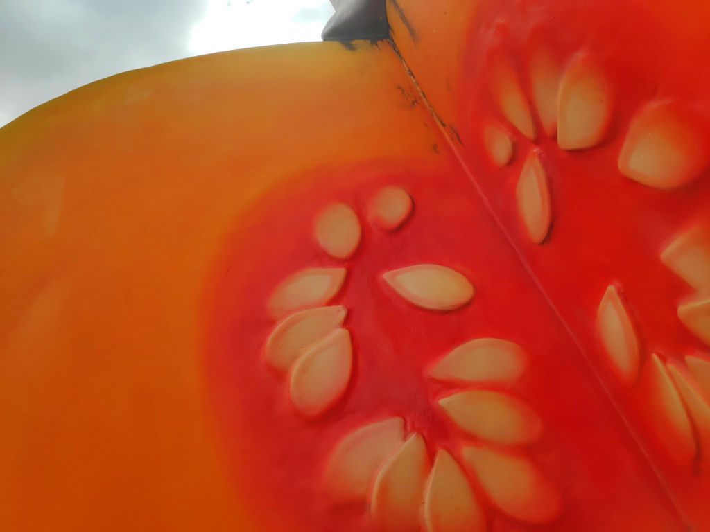 The Big Pumpkin, Gumlu, QLD - Land of the Bigs