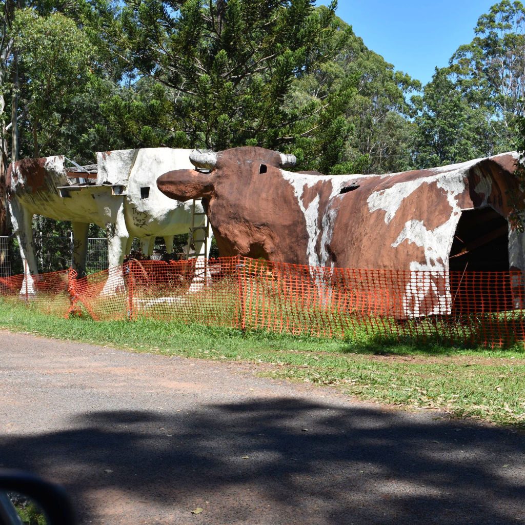The Big Cow, Highfields, QLD - Land of the Bigs