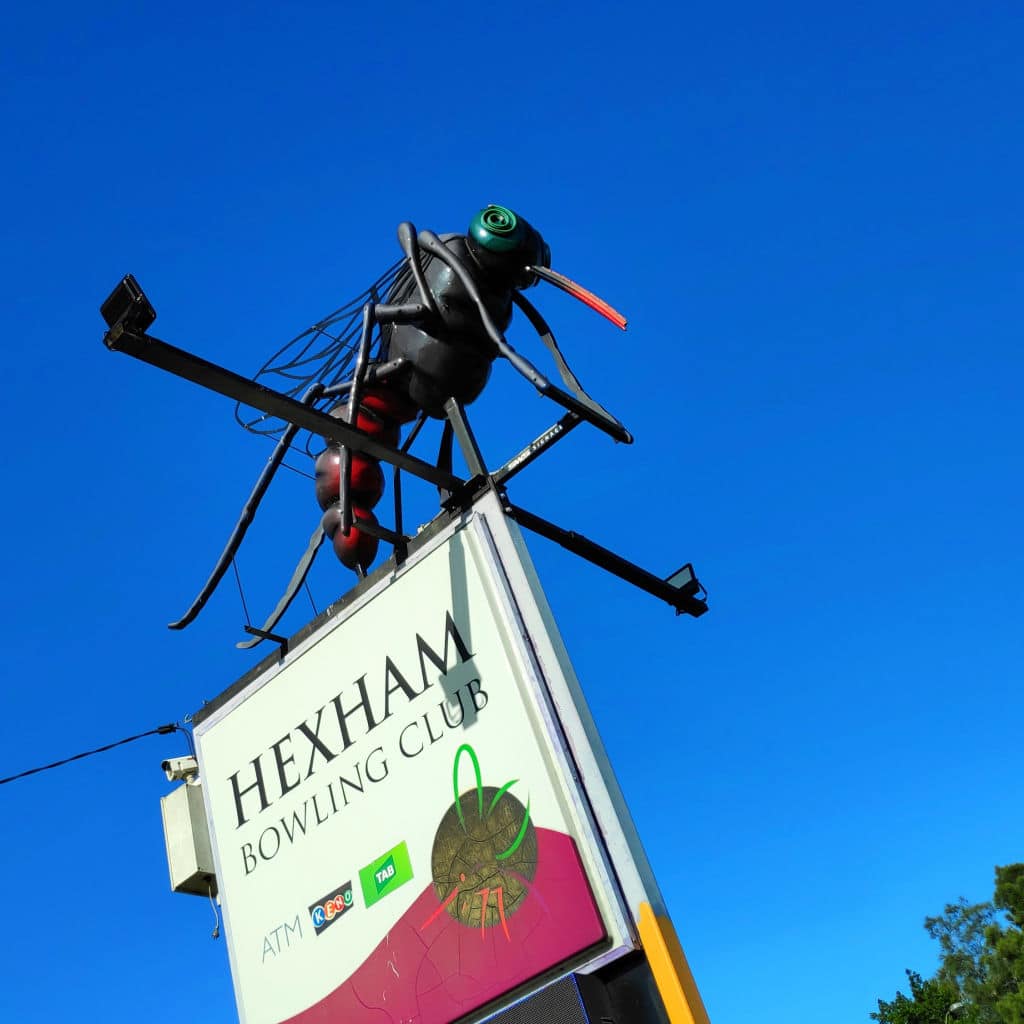Ossie the Mossie, Hexham, NSW - Land of the Bigs