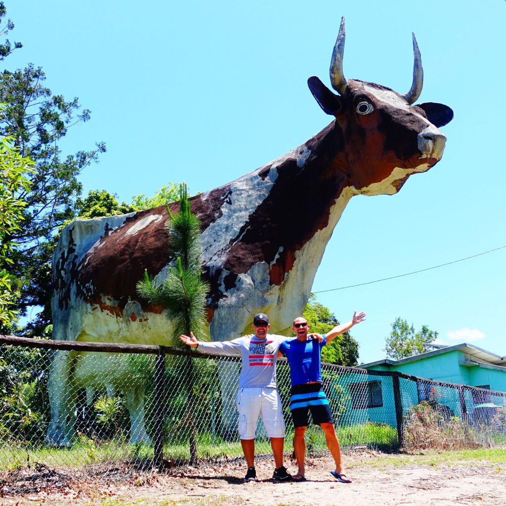The Big Cow, Highfields, QLD - Land of the Bigs