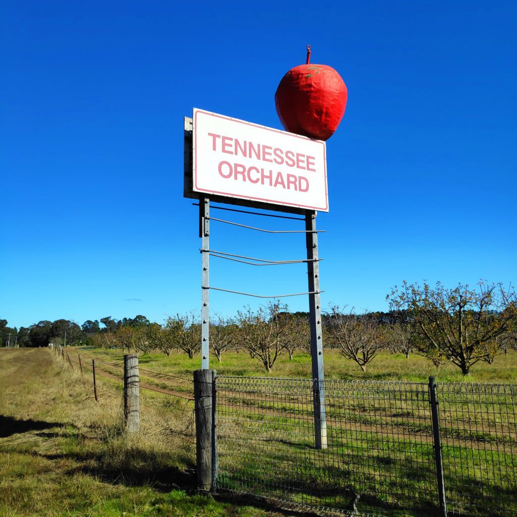 The Big Apple, Yerrinbool, NSW - Land of the Bigs