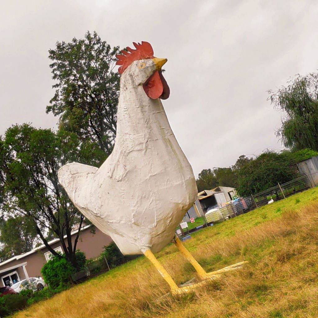 The Big Chook, Mount Vernon, NSW - Land of the Bigs