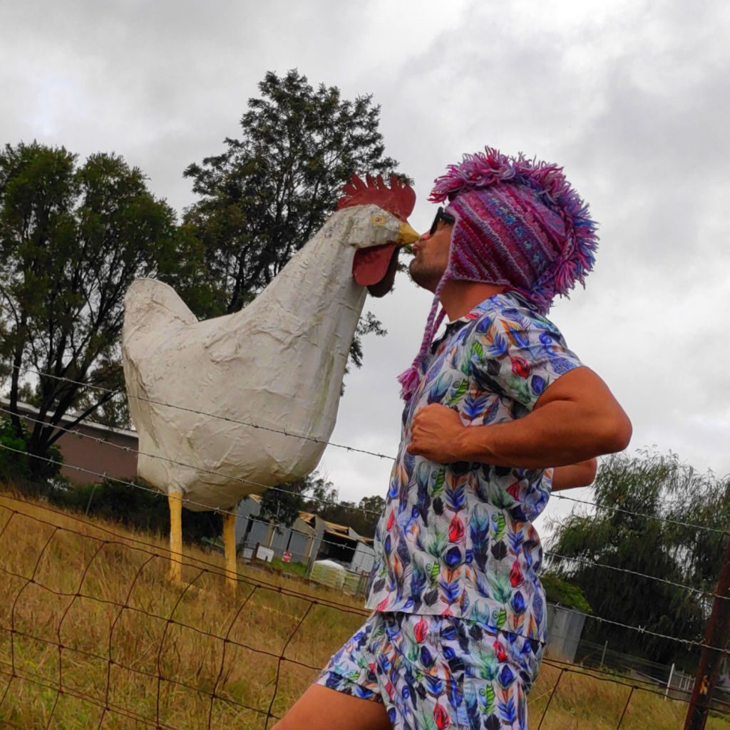 The Big Chook, Mount Vernon, NSW - Land of the Bigs