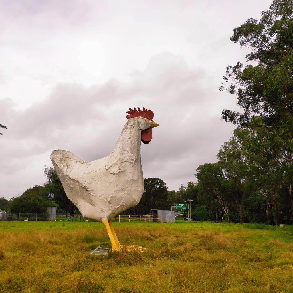 The Big Chook, Mount Vernon, NSW - Land of the Bigs