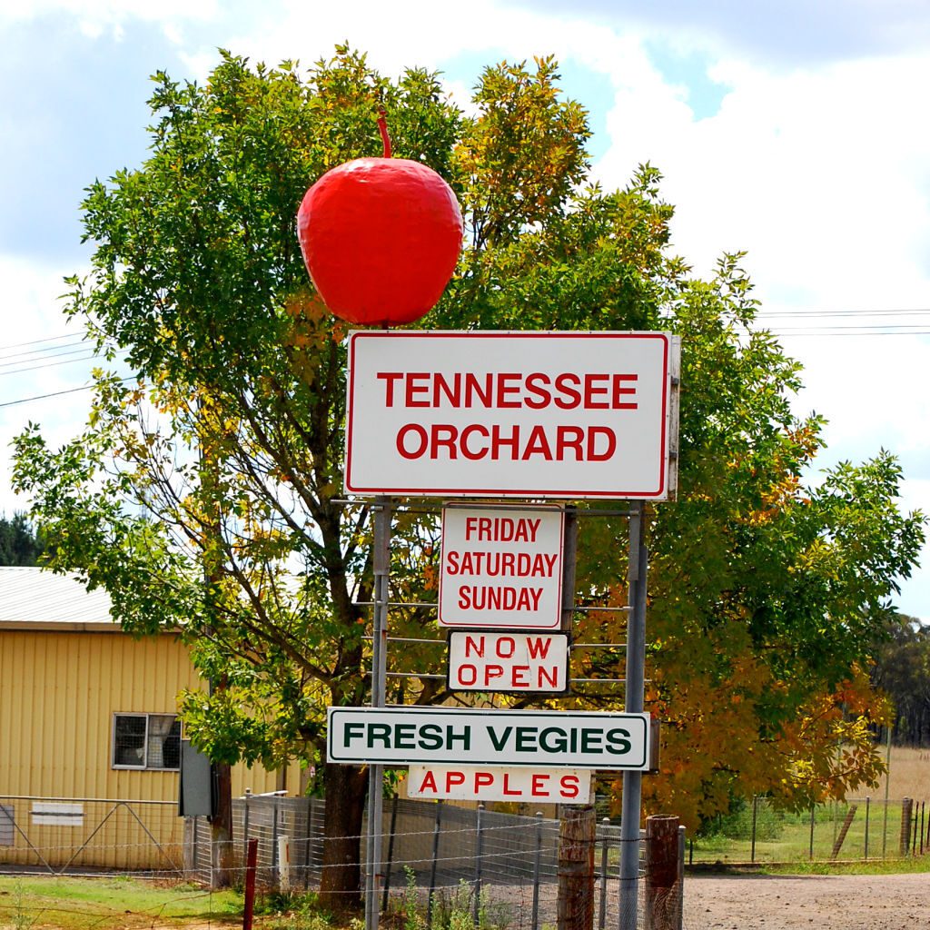 The Big Apple, Yerrinbool, NSW - Land of the Bigs