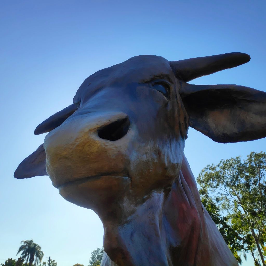 The Big Bulls, Rockhampton, QLD - Land of the Bigs