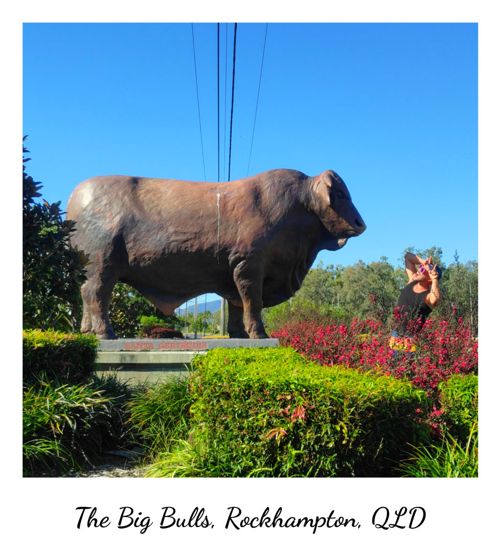 BIGS OF QUEENSLAND - Land of the Bigs