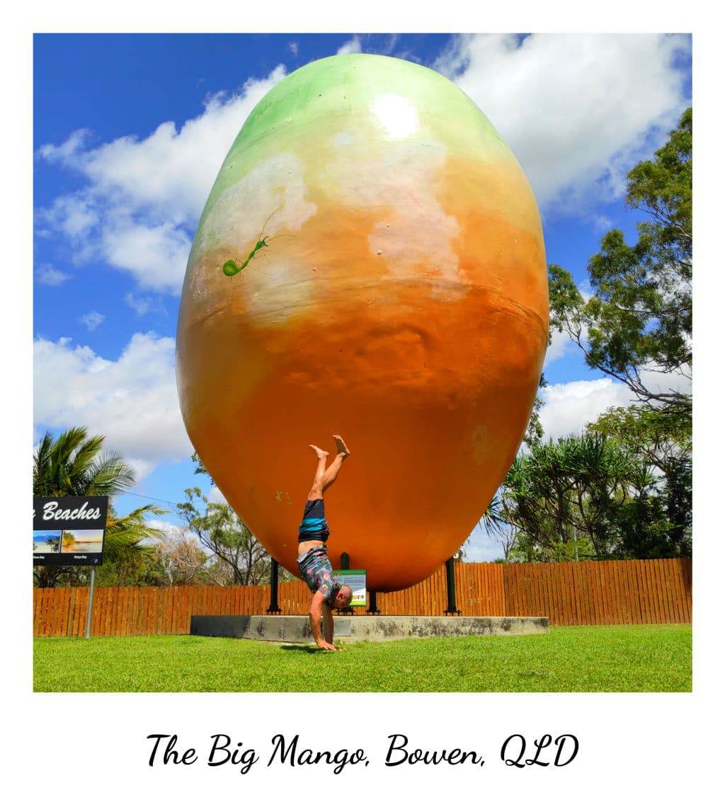 BIGS OF QUEENSLAND - Land of the Bigs