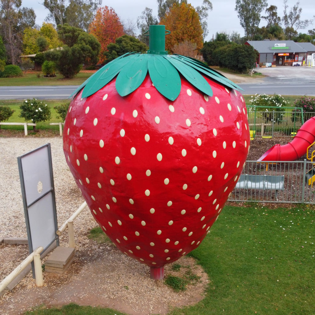 The Big Strawberry, Koonoomoo, VIC - Land of the Bigs