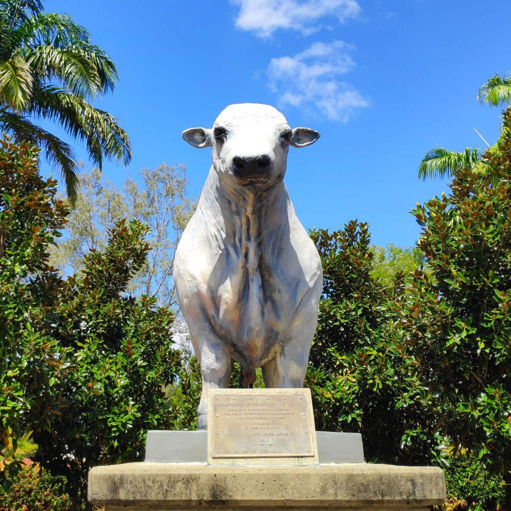 The Big Bulls, Rockhampton, QLD - Land of the Bigs