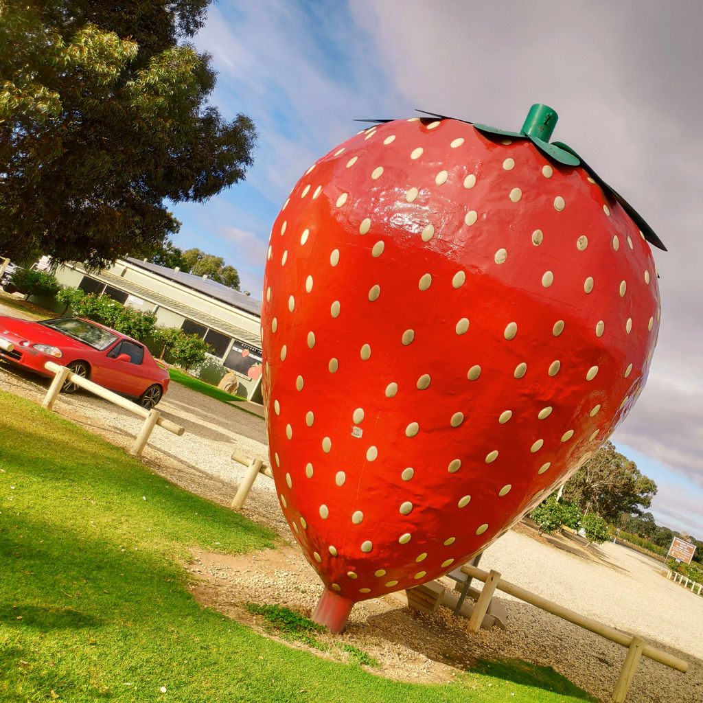 The Big Strawberry, Koonoomoo, VIC - Land of the Bigs