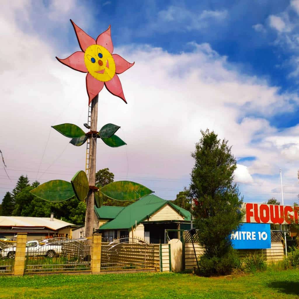The Big Flower, Ourimbah, NSW - Land of the Bigs
