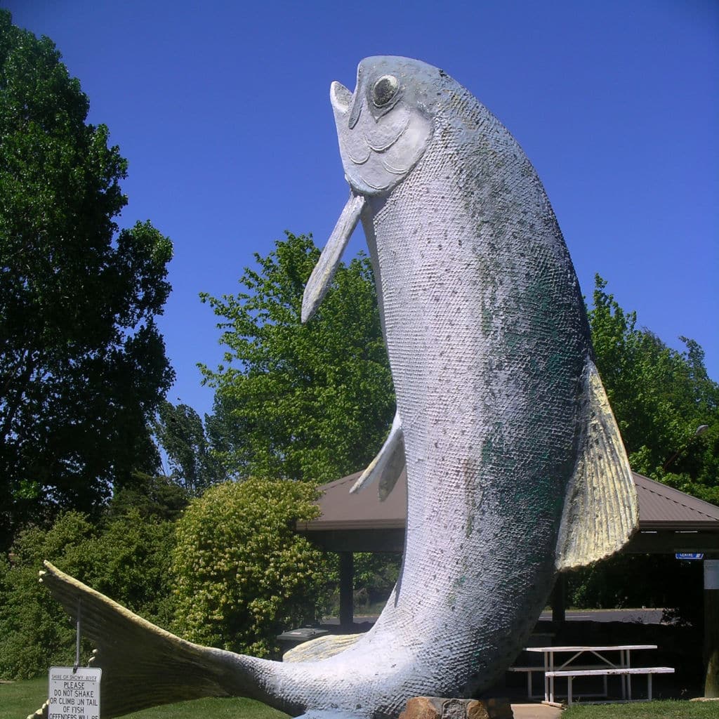 The Big Trout, Adaminaby, NSW - Land of the Bigs
