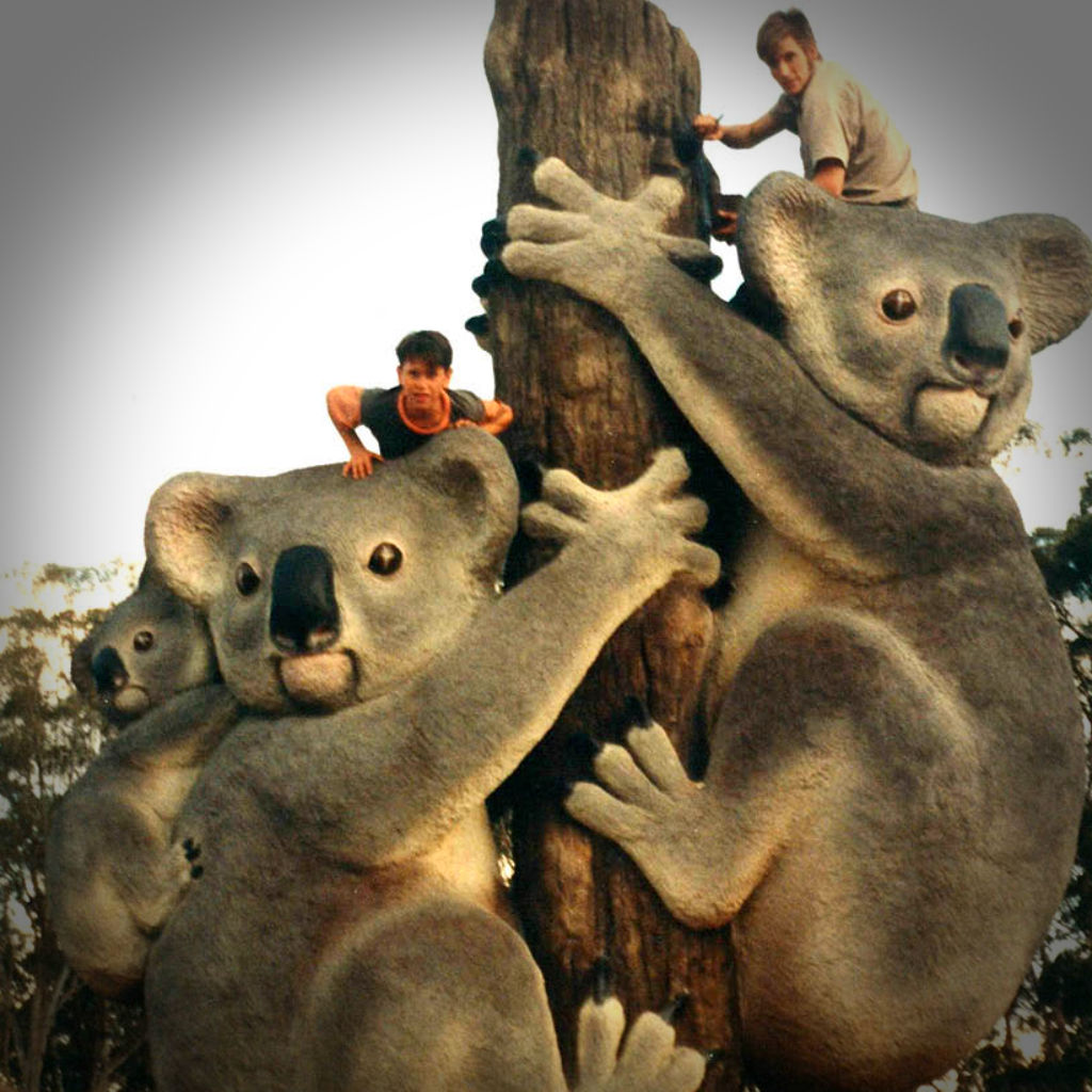 The Big Koala Family, Port Macquarie, NSW - Land of the Bigs