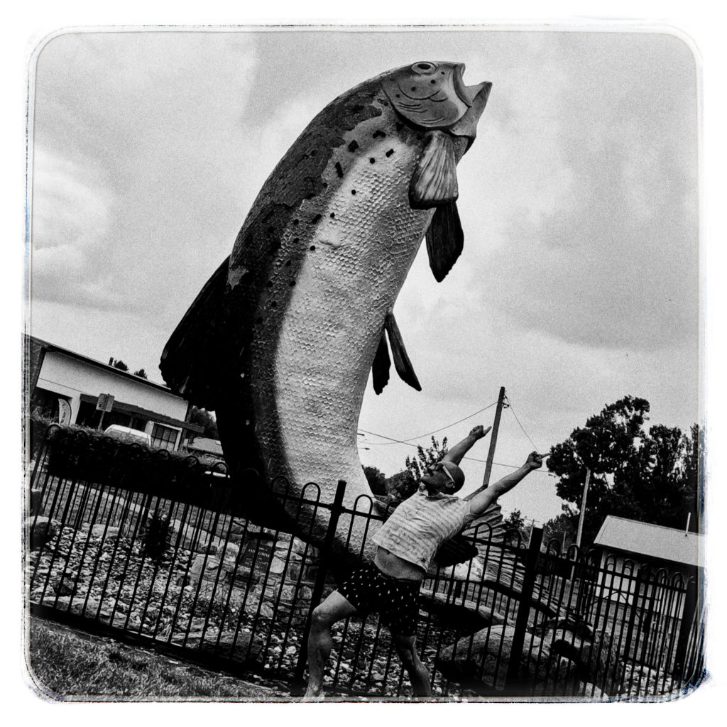 The Big Trout, Adaminaby, NSW - Land of the Bigs