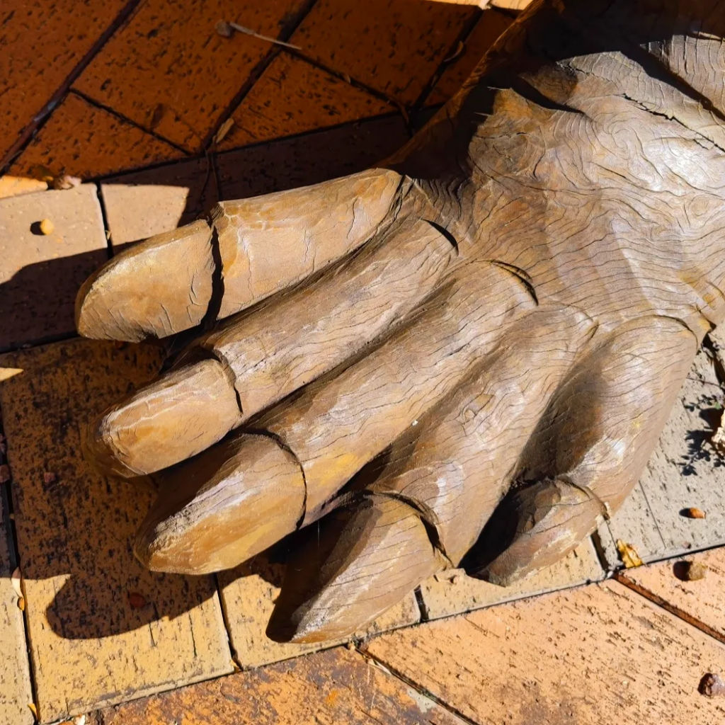 Joanna the Goanna, Taree, NSW - Land of the Bigs