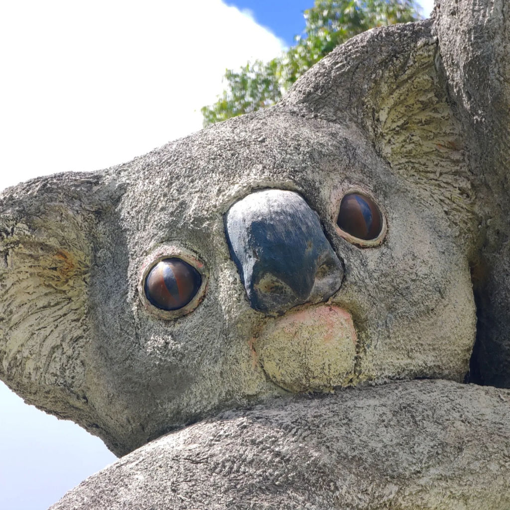 The Big Koala Family, Port Macquarie, NSW - Land of the Bigs