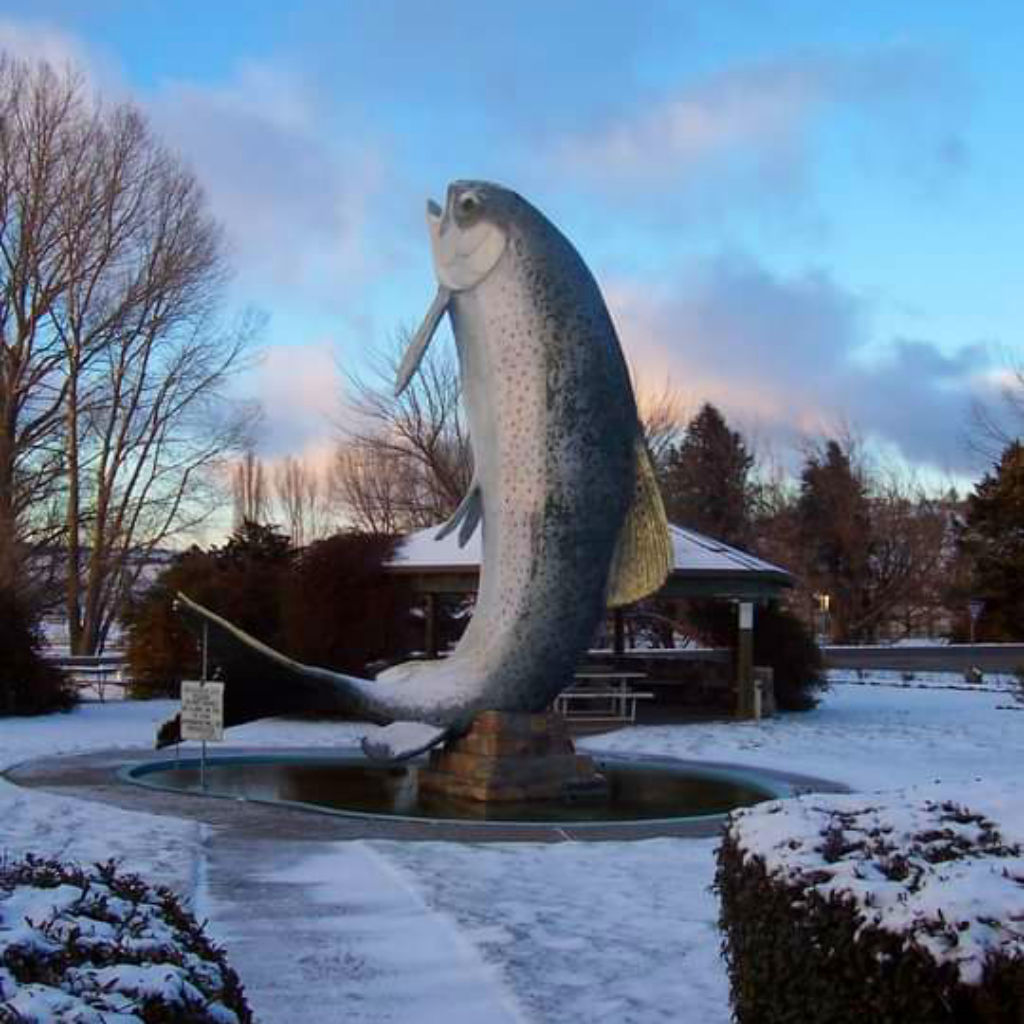 The Big Trout, Adaminaby, NSW - Land of the Bigs