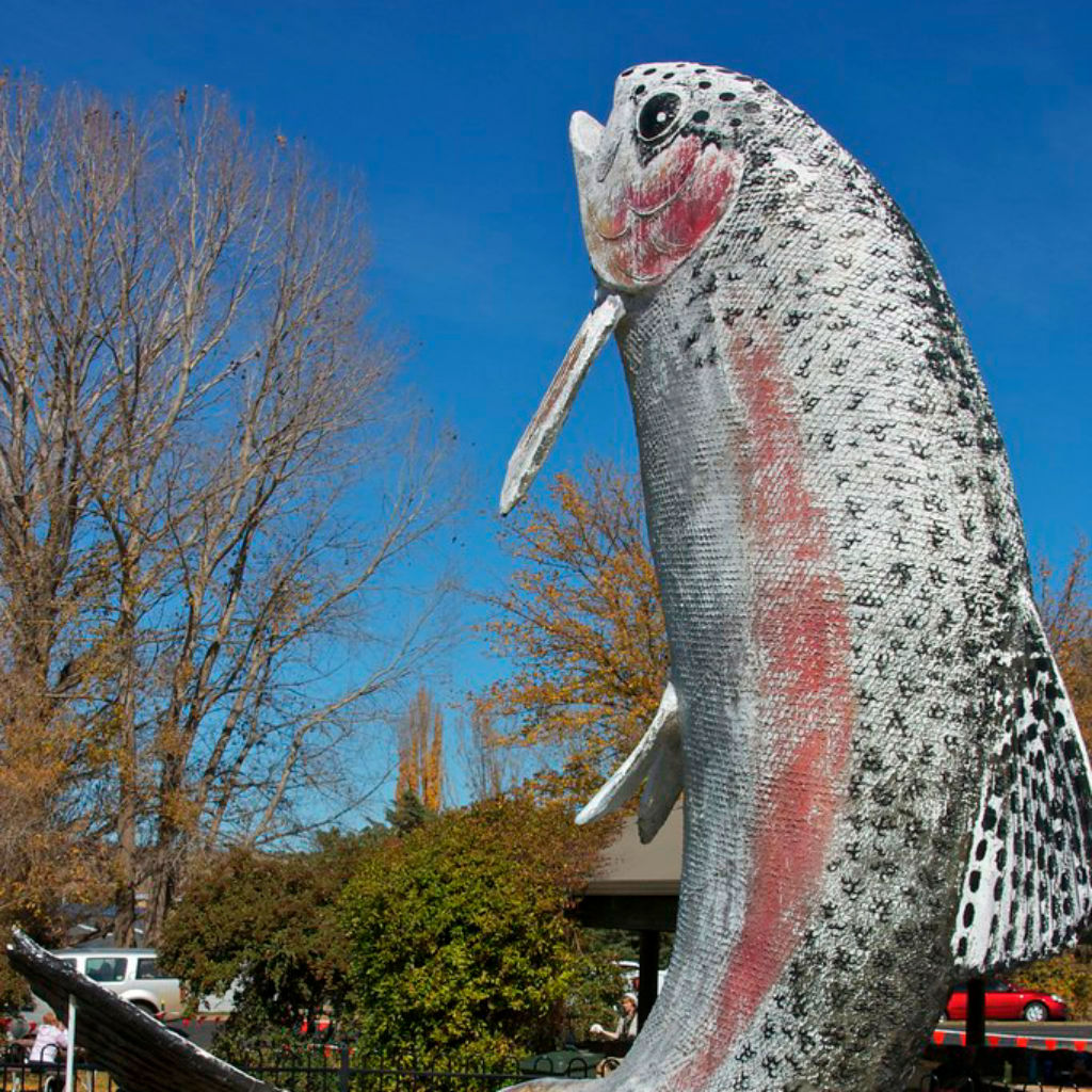 The Big Trout, Adaminaby, NSW - Land of the Bigs