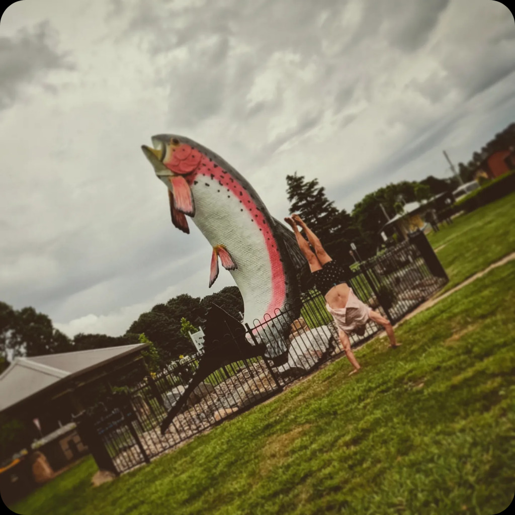The Big Trout, Adaminaby, NSW - Land of the Bigs