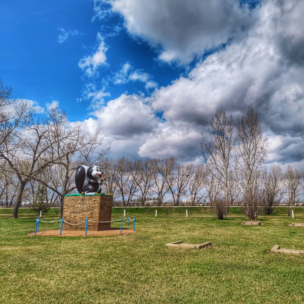 Squirt the Skunk, Beiseker, Alberta - Land of the Bigs