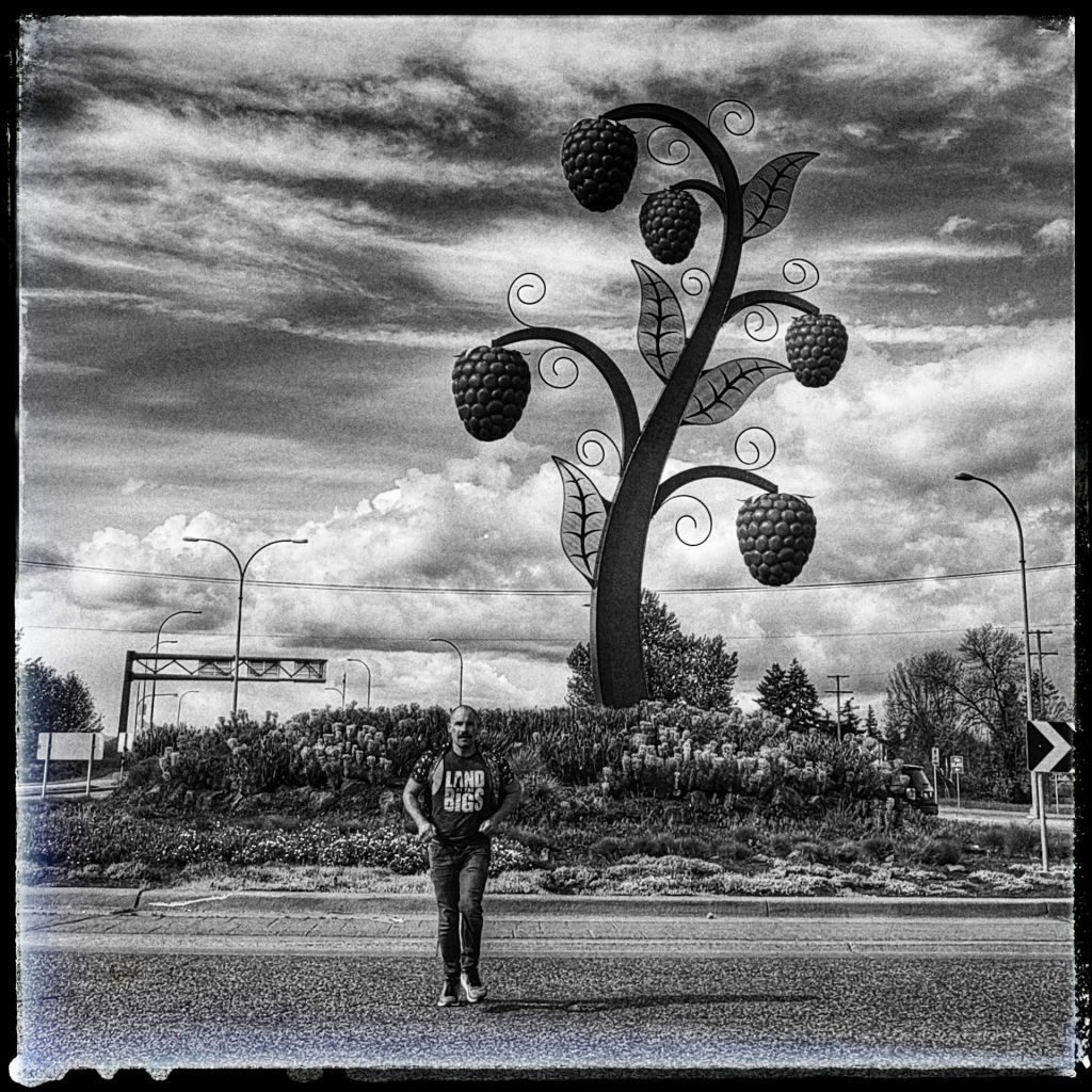 The Giant Raspberries, Abbotsford, BC - Land of the Bigs