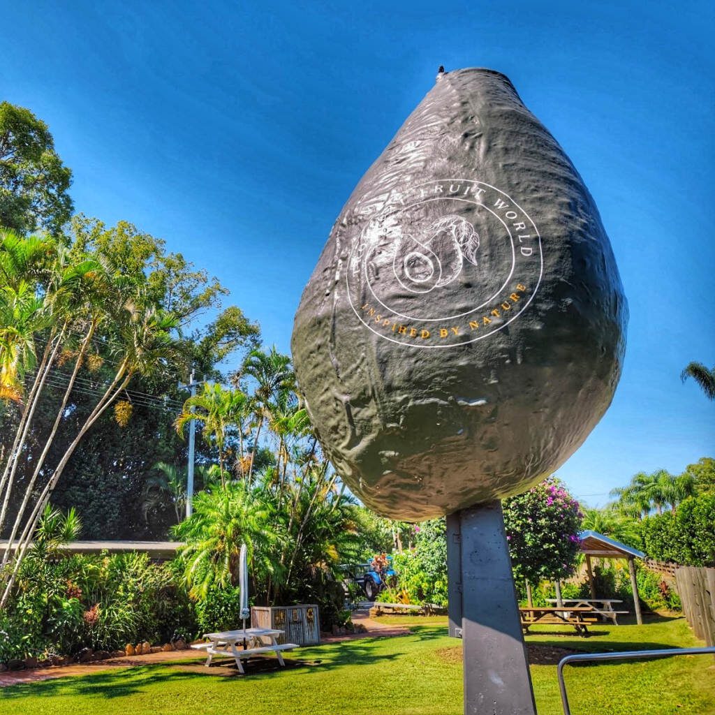 The Big Avocado, Duranbah, NSW - Land of the Bigs