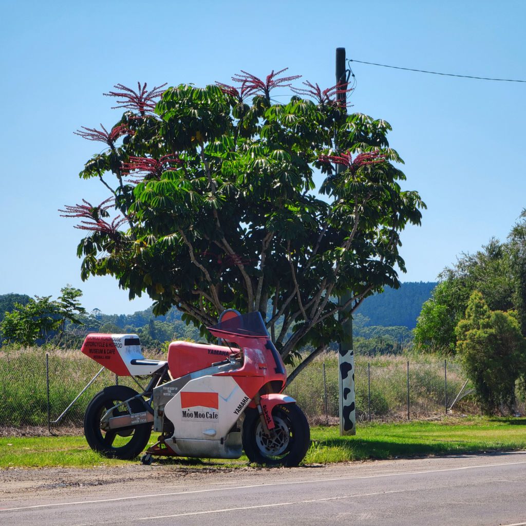 The Big Motorcycle, Mooball, NSW - Land of the Bigs