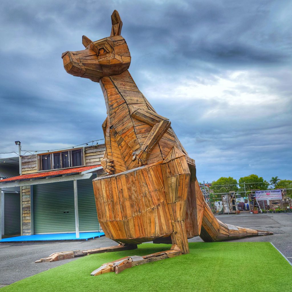 Kangaroo Kat, Carrara, QLD - Land of the Bigs