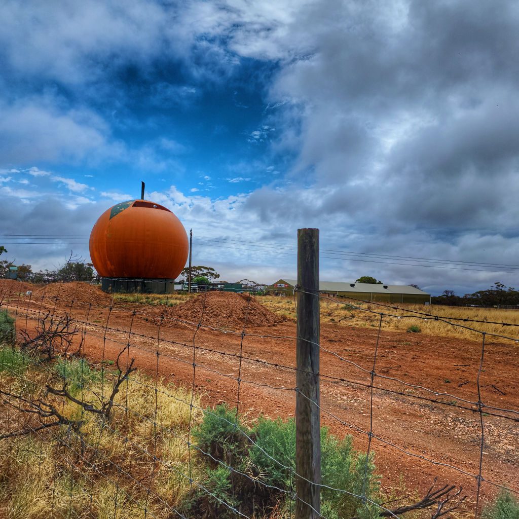 The Big Orange, Berri, SA - Land of the Bigs