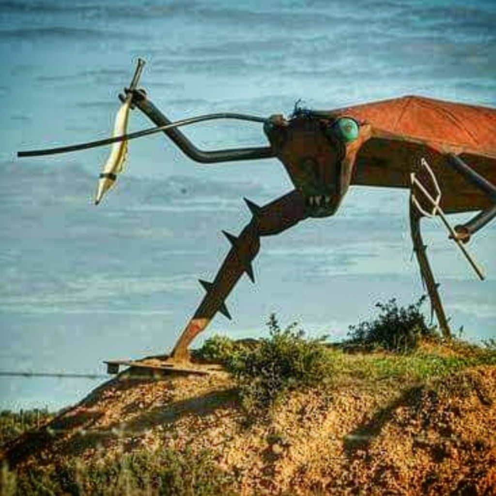 The Protest Statues, Lower Light, SA - Land of the Bigs