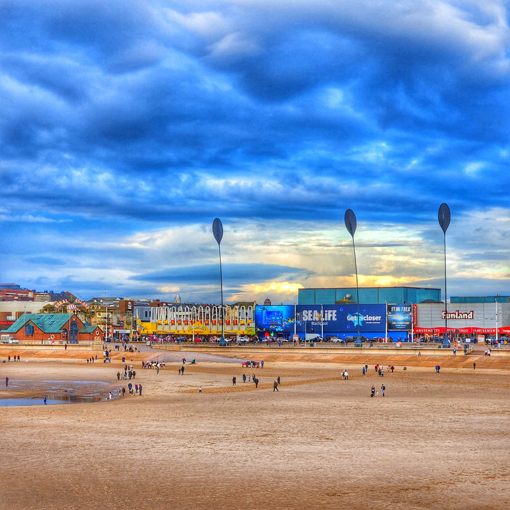 Dune Grass, Blackpool, England - Land of the Bigs