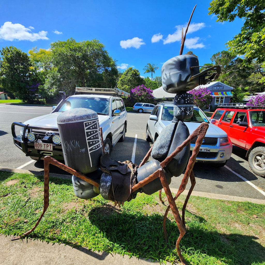 The Black Ant, Kin Kin, QLD - Land of the Bigs