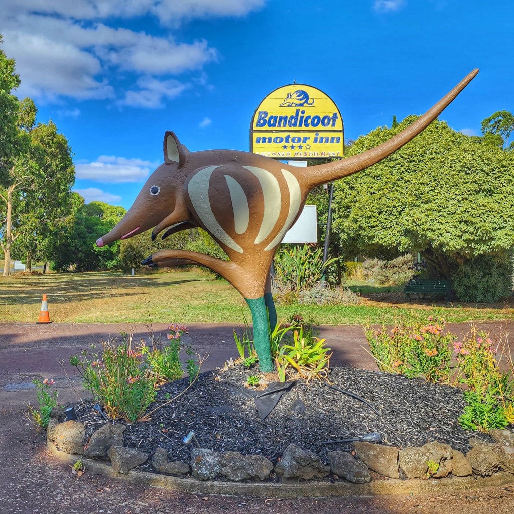 The Big Bandicoot, Hamilton, VIC - Land of the Bigs