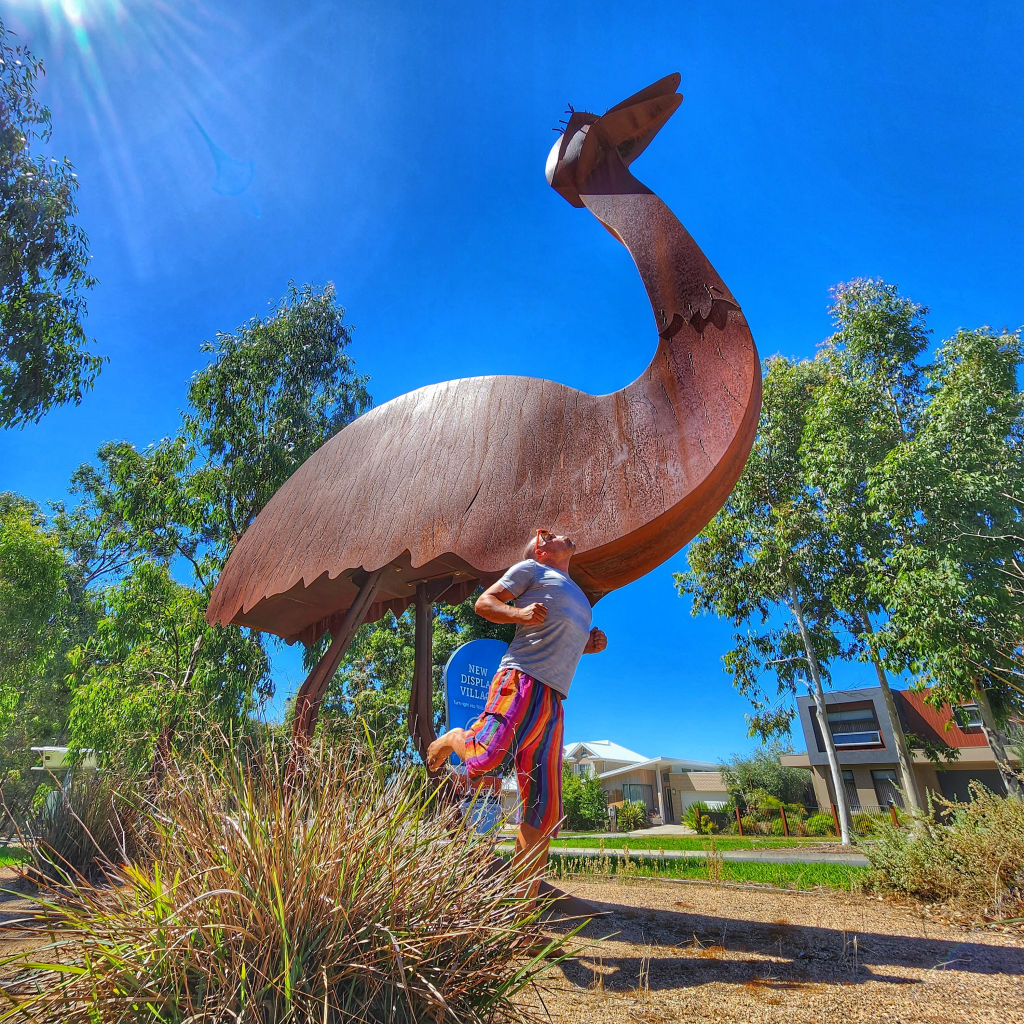 The Big Emus, Strathfieldsaye, VIC - Land of the Bigs