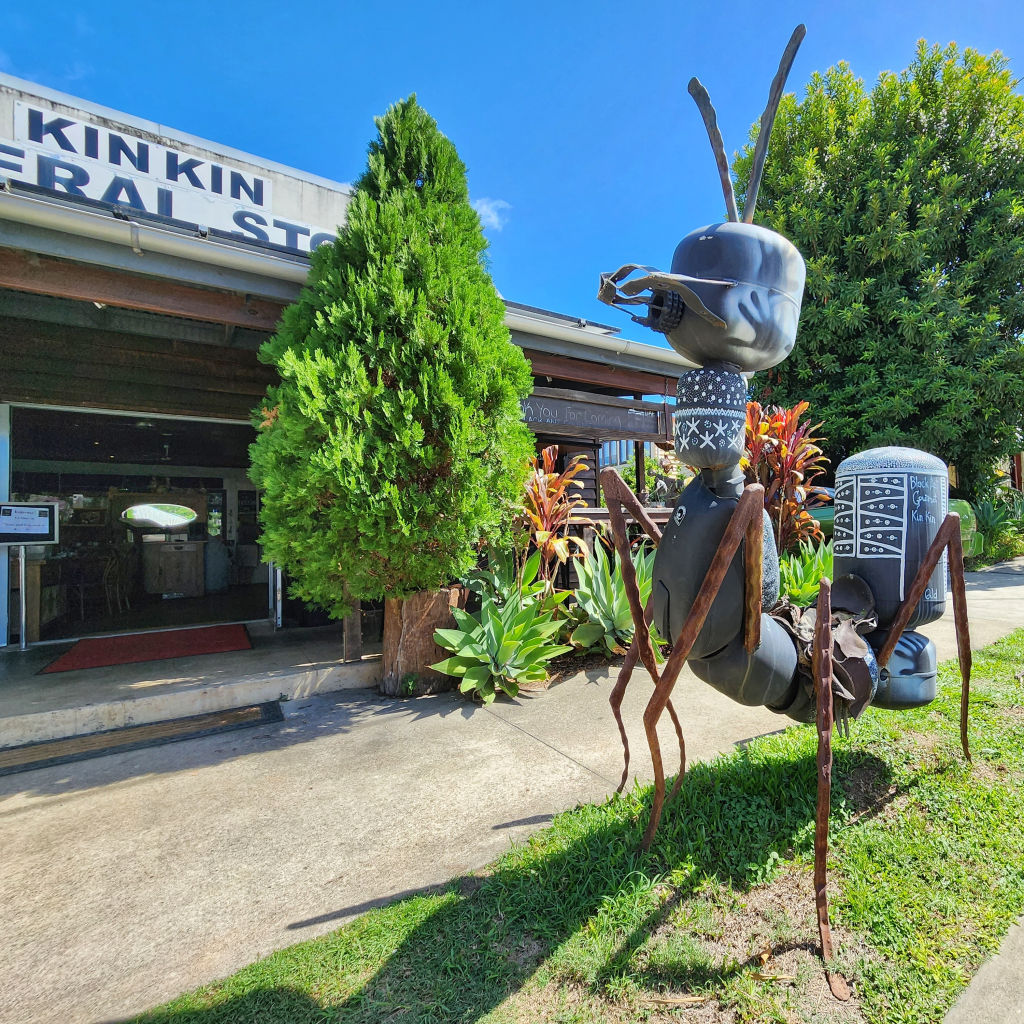 The Black Ant, Kin Kin, QLD - Land of the Bigs
