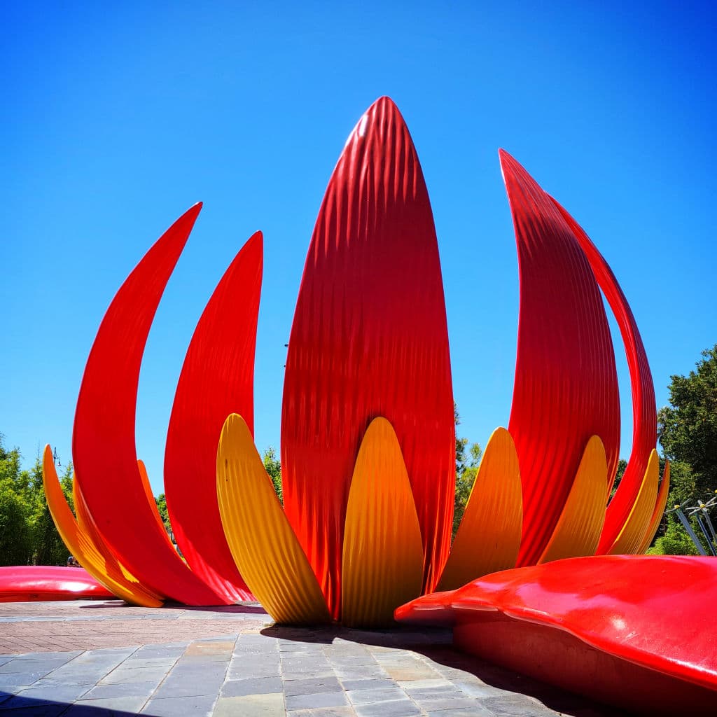 The Golden Dragon Lotus, Bendigo, VIC - Land of the Bigs
