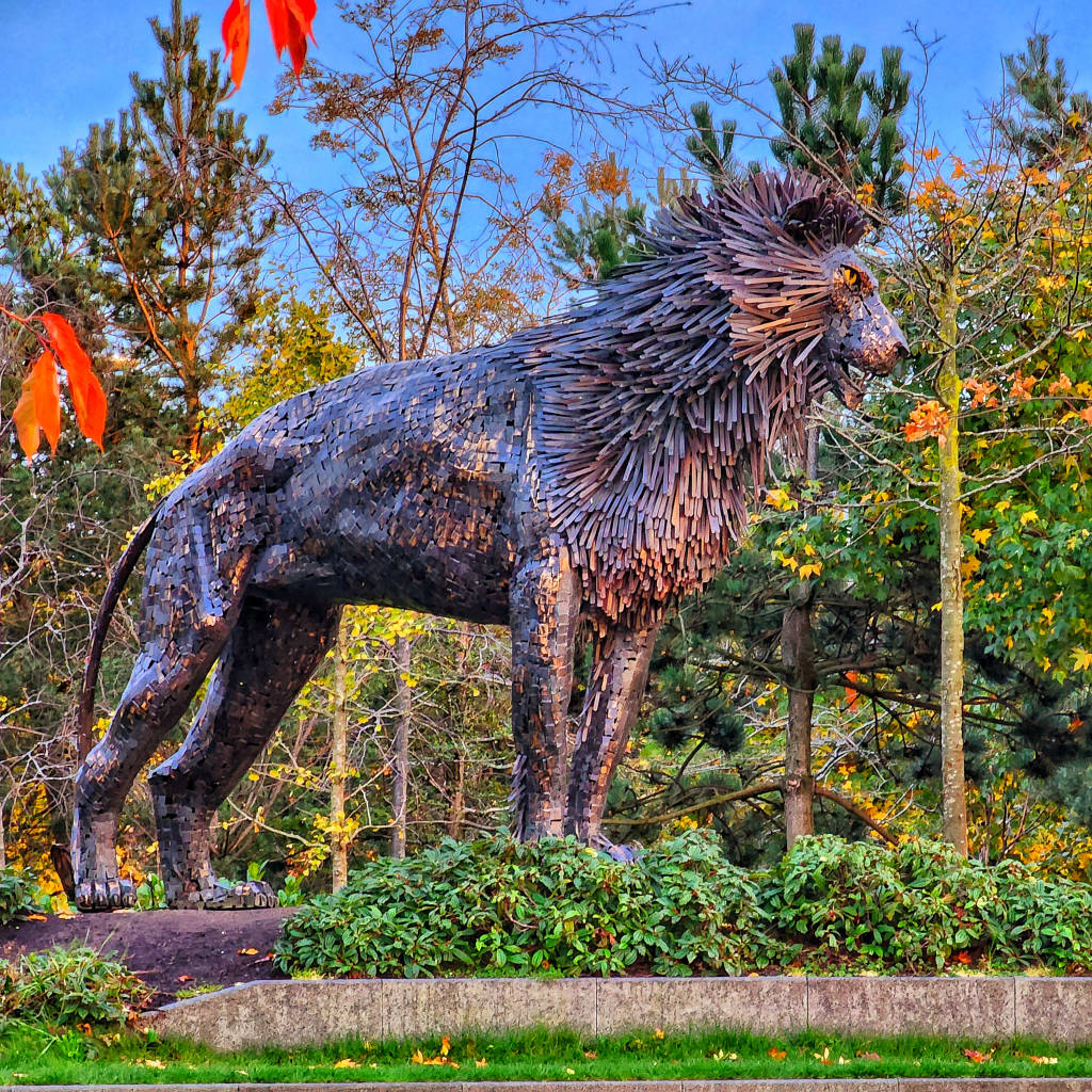 Aslan the Lion, Belfast, Northern Ireland - Land of the Bigs
