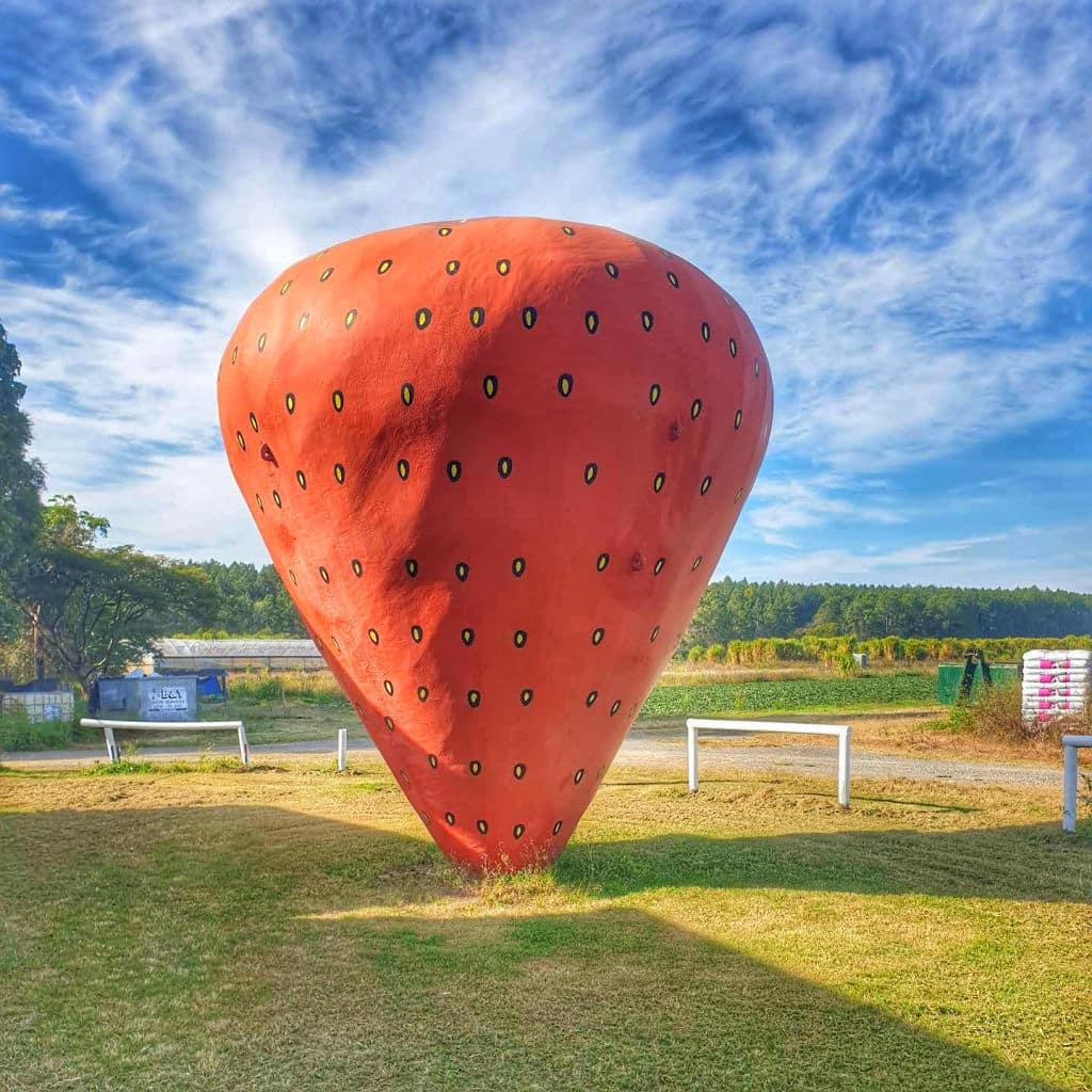 The Big Strawberry, Elimbah, QLD - Land of the Bigs