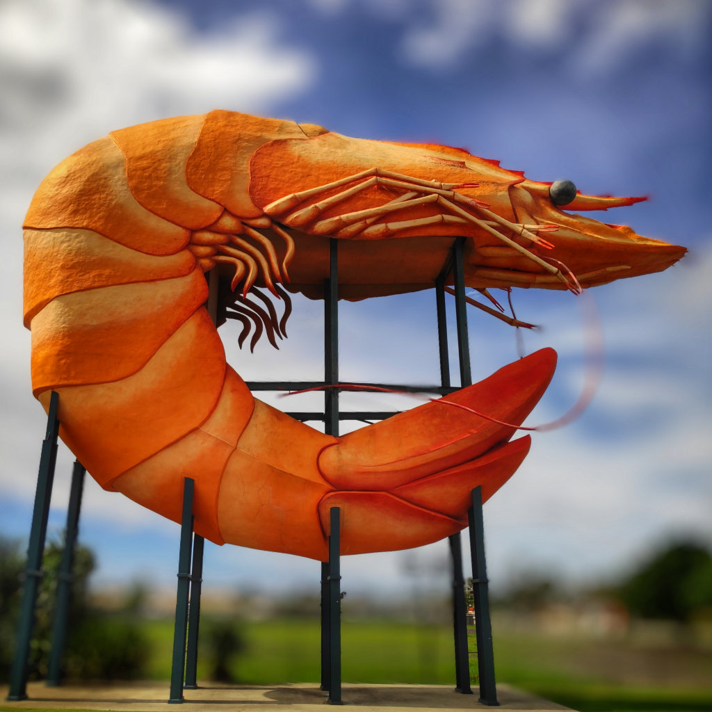 The Big Prawn, Ballina, NSW - Land of the Bigs