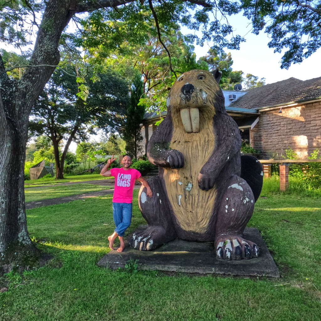 The Big Beaver, Wilberforce, NSW - Land of the Bigs