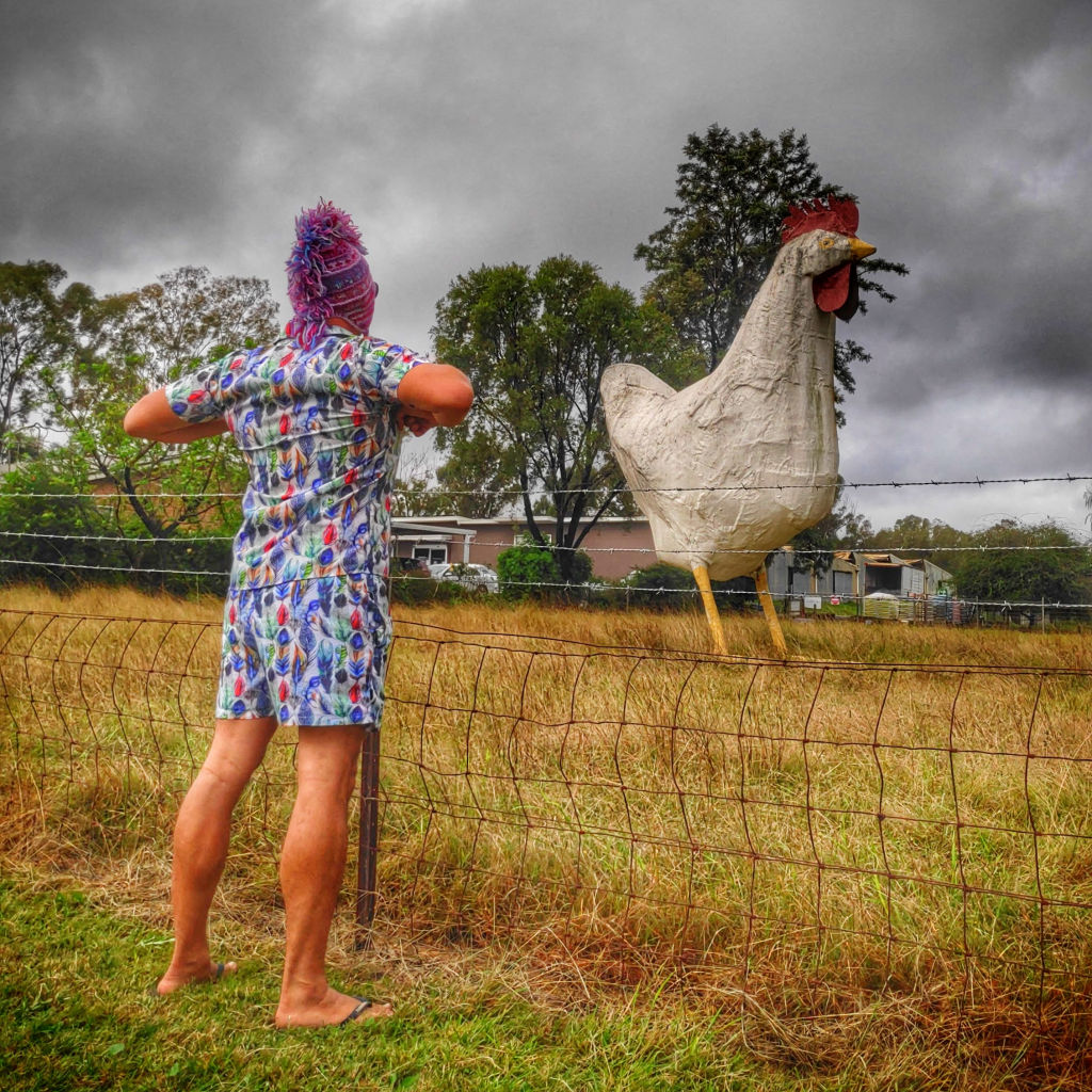 The Big Chook, Mount Vernon, NSW - Land of the Bigs