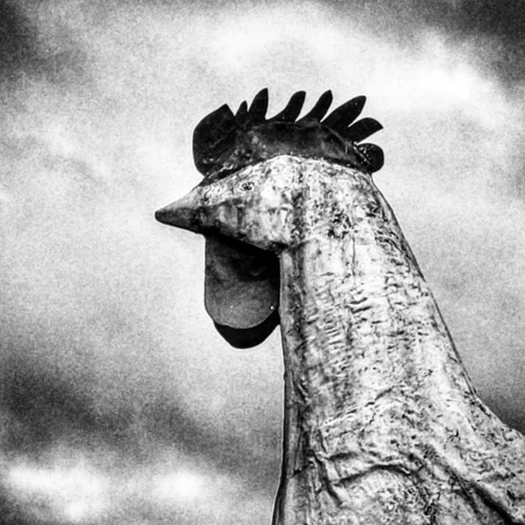 The Big Chook, Mount Vernon, NSW - Land of the Bigs