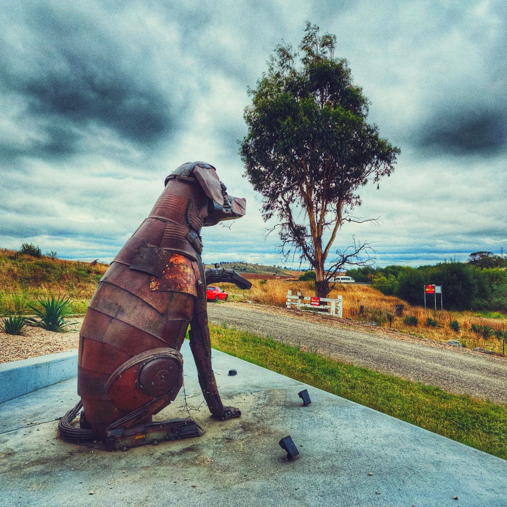 Big Dog, Dunkeld, New South Wales - Land of the Bigs