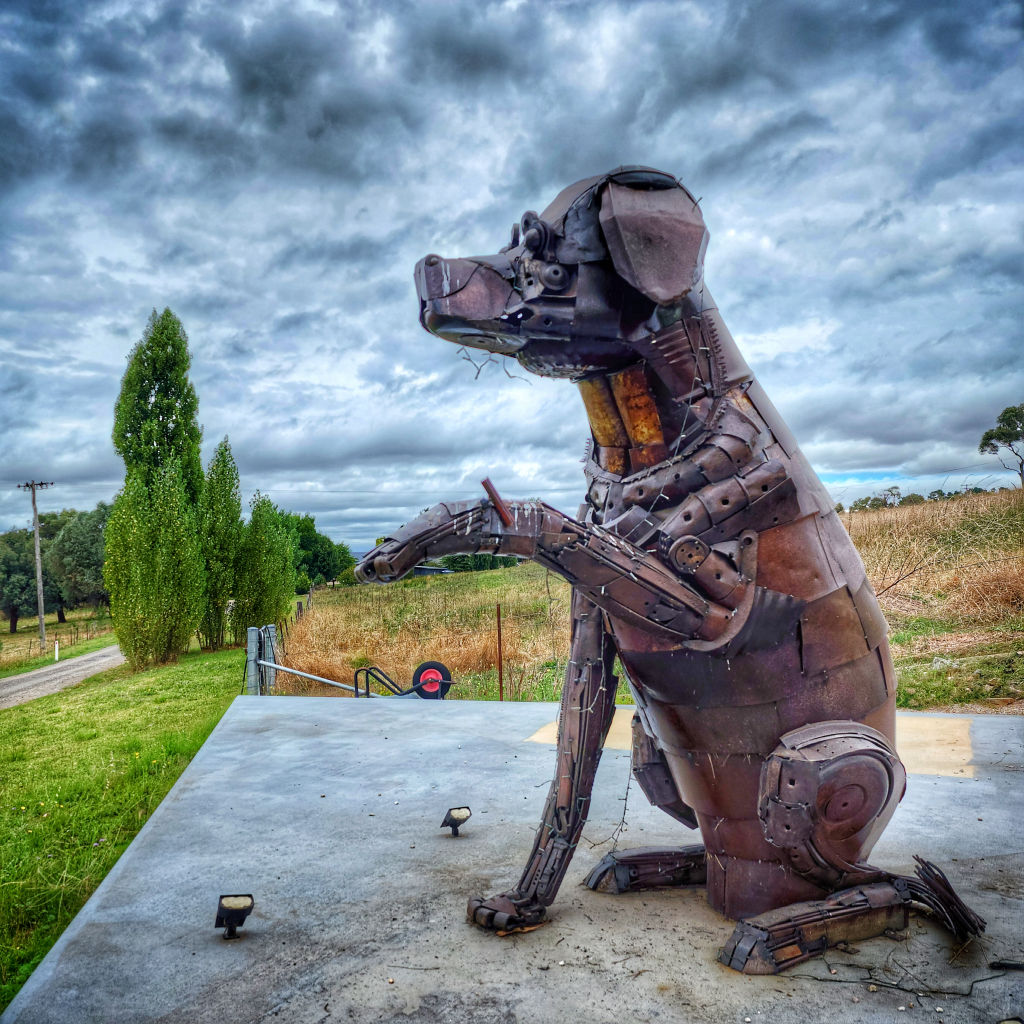 Big Dog, Dunkeld, New South Wales - Land of the Bigs