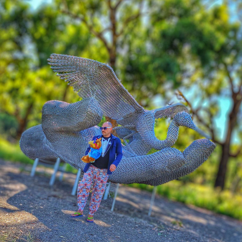 Bird in Hand, Jemalong, NSW - Land of the Bigs