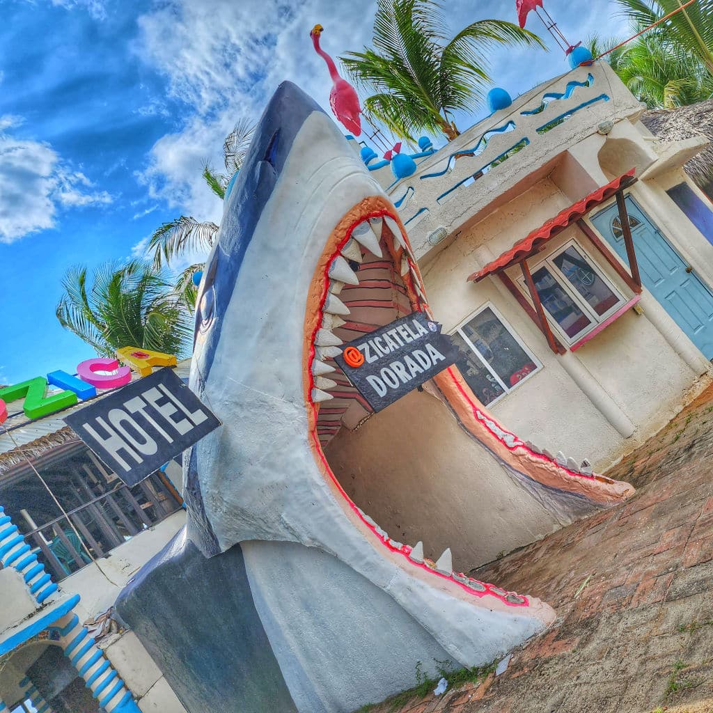 Paco el Sharko, Zicatela, México - Land of the Bigs
